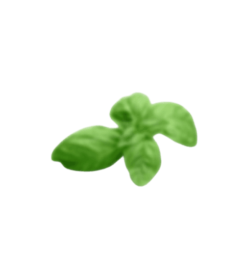 Niwi Select Diet Meal Planning